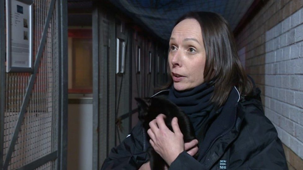 Newcastle Dog and Cat Shelter faces quadrupling energy bills - BBC News