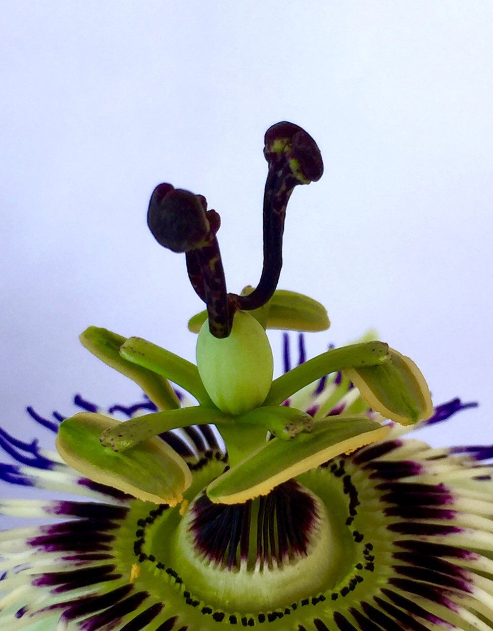 Your pictures: Just for one day - BBC News