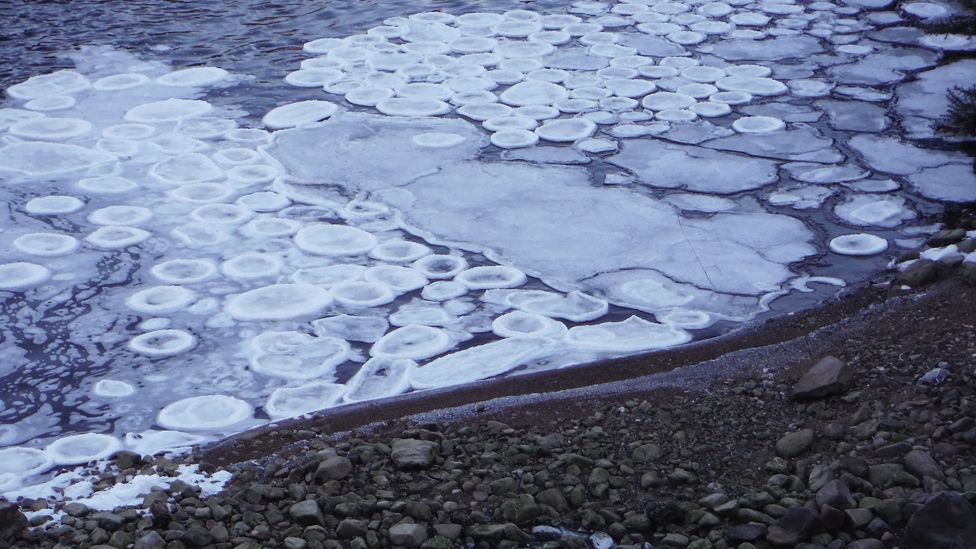 Your pictures as snow blankets Scotland - BBC News