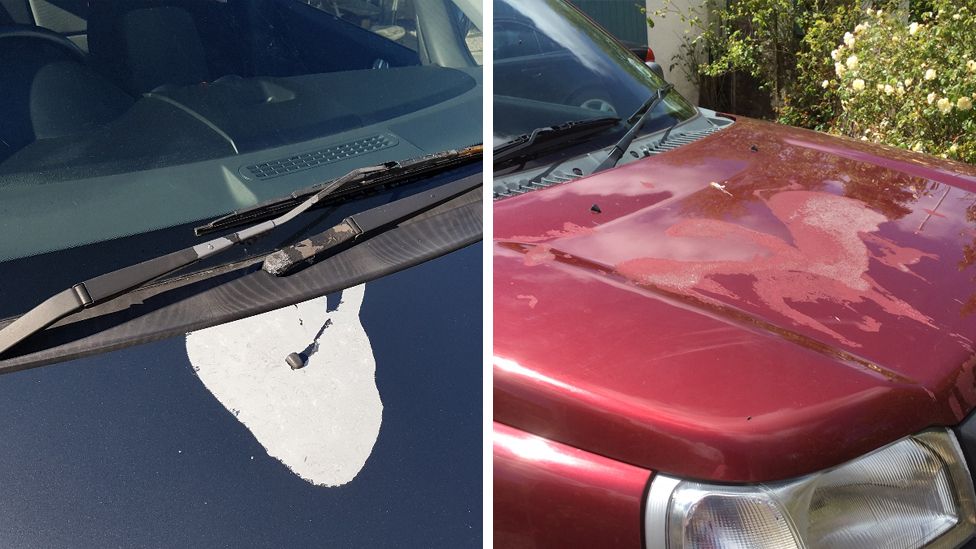 St Briavels targeted in 'sick' acid attacks on cars - BBC News