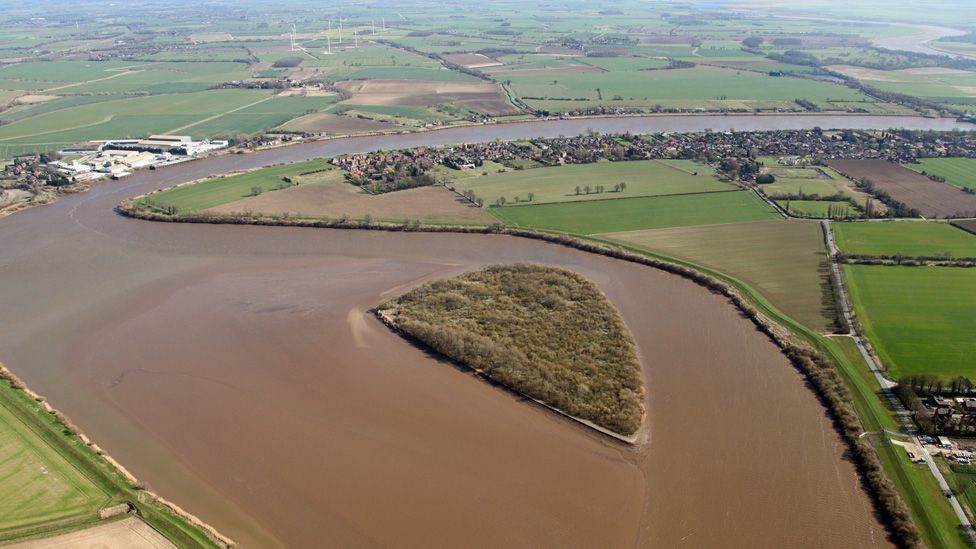 Charity expands Humber bird reserve - BBC News