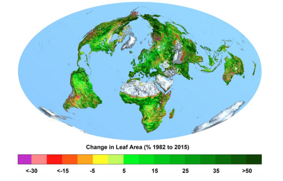 Rise in CO2 has 'greened Planet Earth' - BBC News