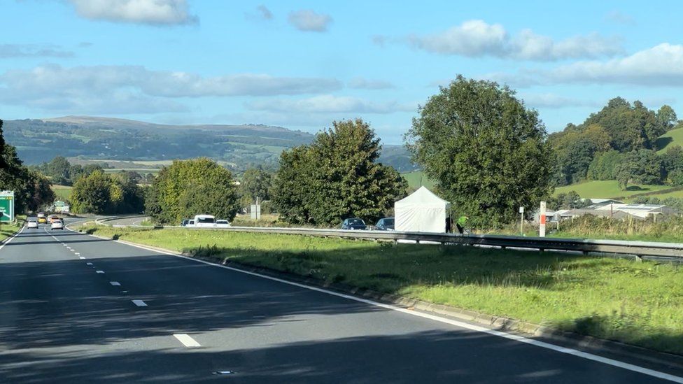 Devon A38 pedestrian dies after being hit by car - BBC News