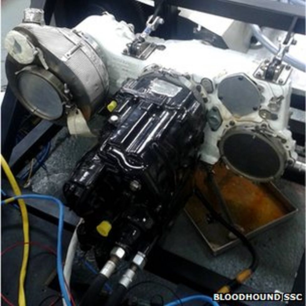 Bloodhound Diary: A riveting 'tail' - BBC News