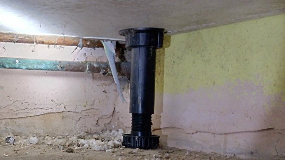 Frinton firefighters rescue budgie behind kitchen cupboard - BBC News