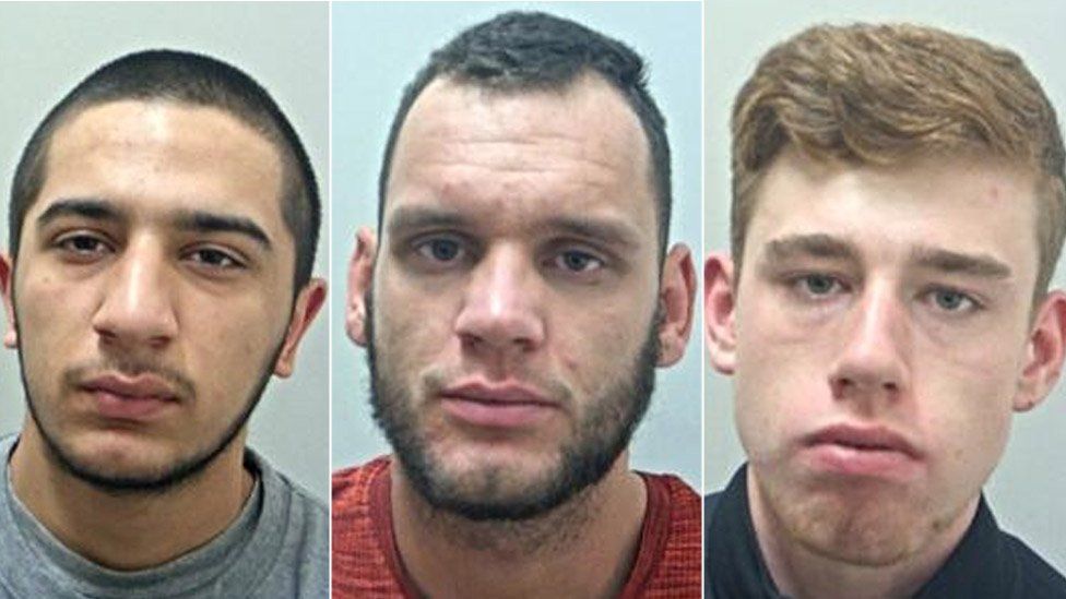 Alison McBlain: Gang jailed for 'revenge' hit-and-run drugs murder ...