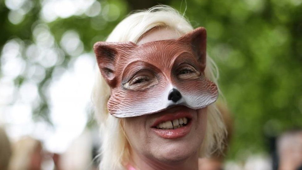 Is fox hunting an election issue? - BBC News