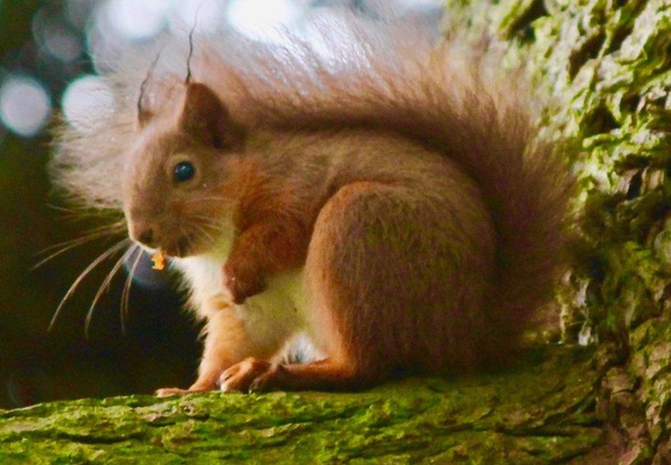 England's Big Picture: 24 - 30 April - BBC News