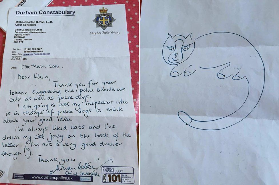 Cat crime fighters could collar County Durham criminals - BBC News