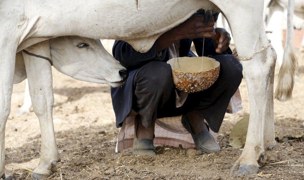 Africa in pictures: 15-22 January 2016 - BBC News