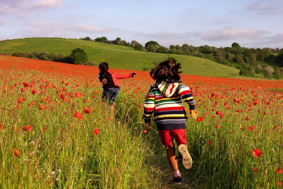 Your pictures on the theme of 'summer walks' - BBC News