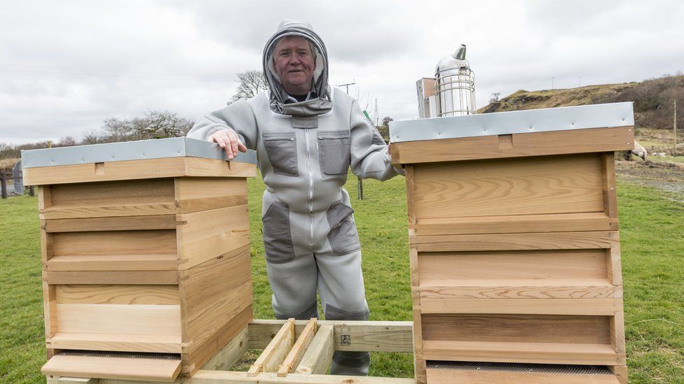 'Virtually sting-proof' bee suit made after allergy concern - BBC News
