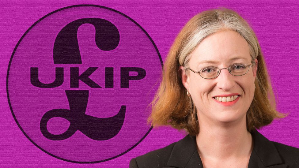 Michelle Brown: More calls for action over UKIP AM slur - BBC News