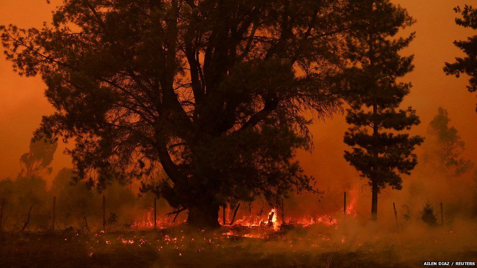 In pictures: Wildfires in Chile continue to rage - BBC Newsround