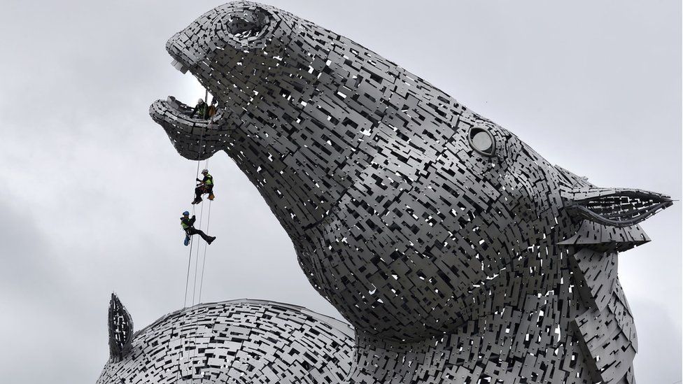 High-wire team give Kelpies their first health check - BBC News