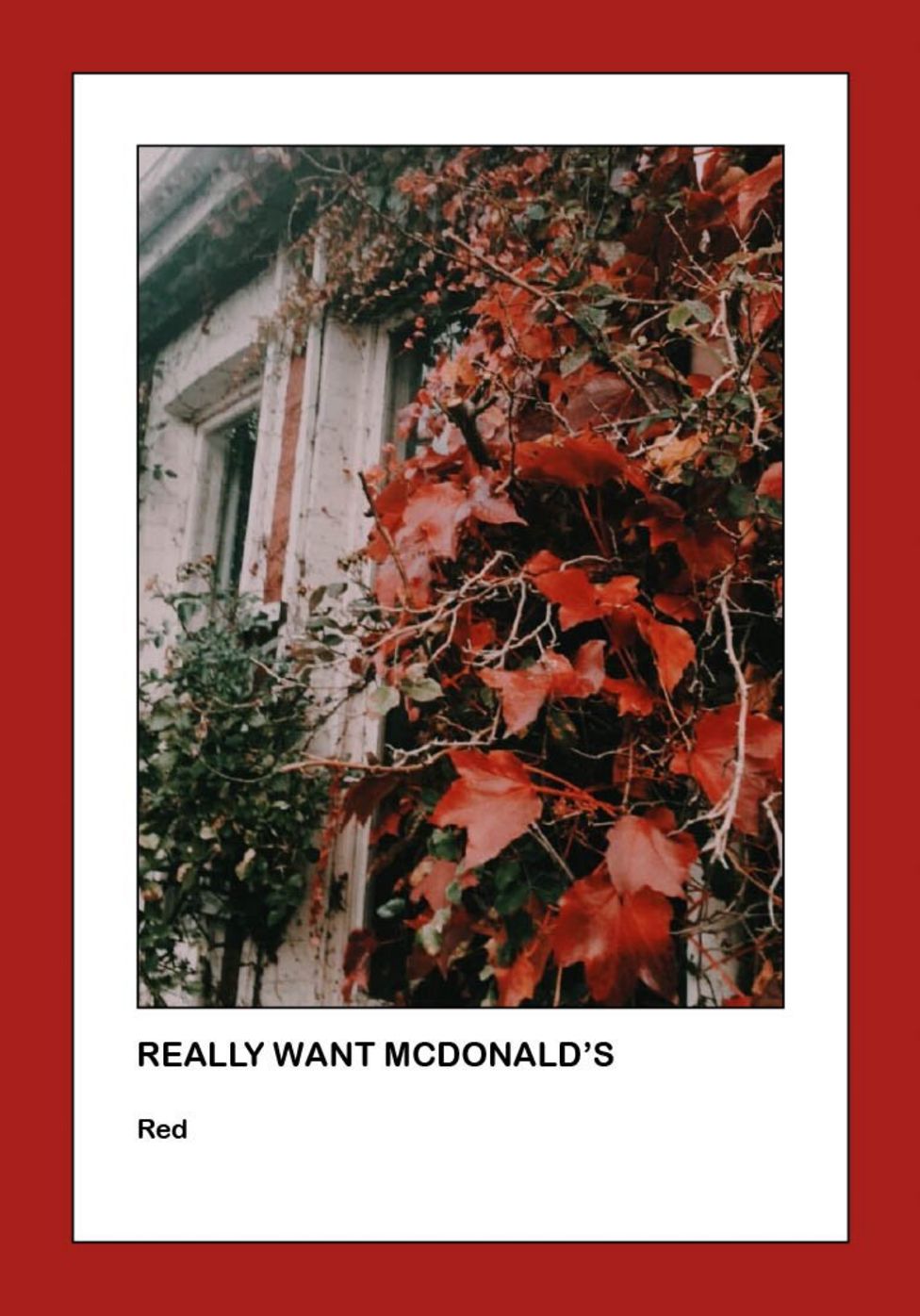 Colours of corona: Capturing moments in isolation - BBC News