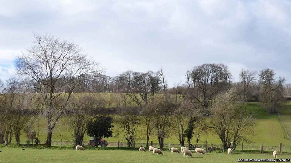 A look back at winter - BBC Weather