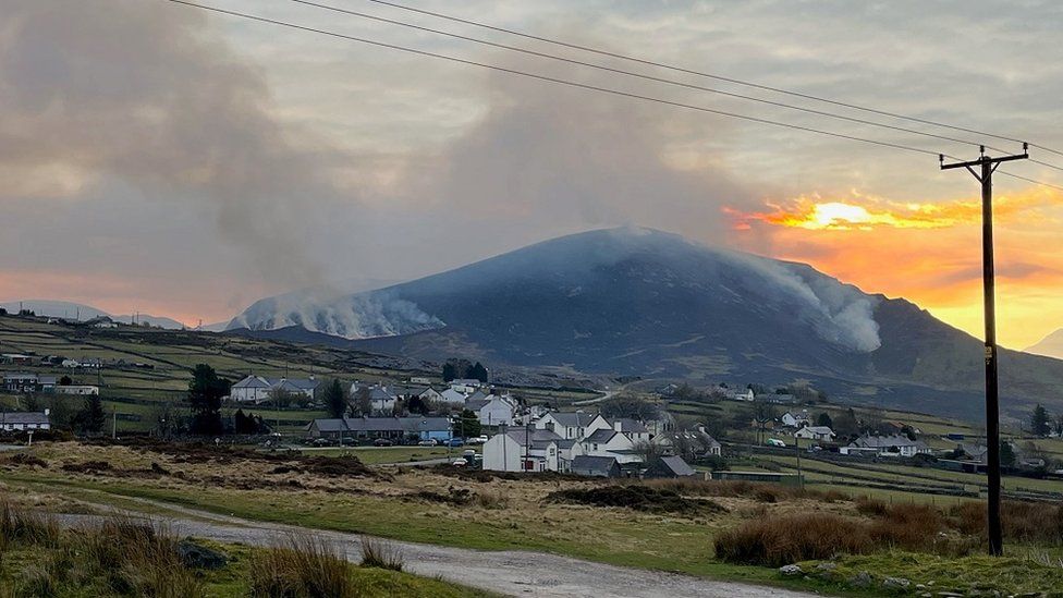 Gwasanaeth Tan: Gofal wrth gynnau tanau dan reolaeth - BBC Cymru Fyw