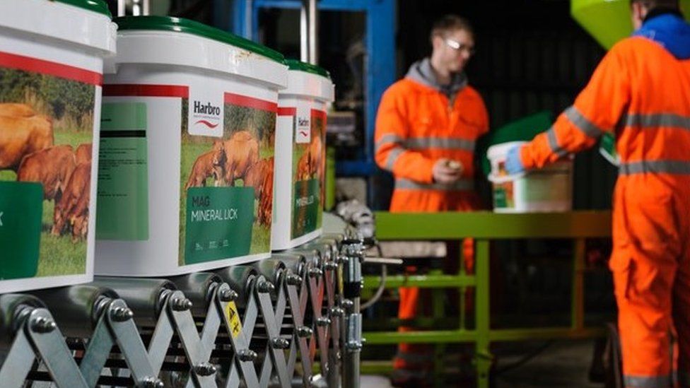 Animal feed producer Harbro Group posts rise in profits - BBC News