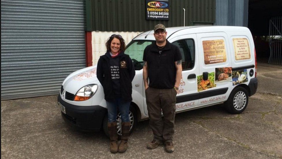 Forest of Dean charity frustrated over injured animal recovery ban ...