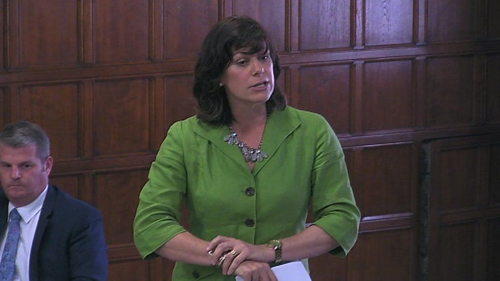 Southern: Claire Perry 'often ashamed' to be rail minister - BBC News