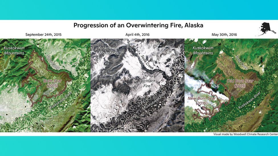 What are 'zombie fires' and why is the Arctic Circle on fire? - BBC ...