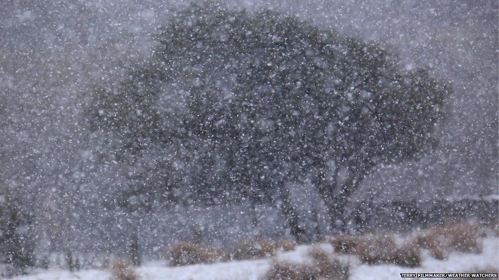Winter wonderland - BBC Weather