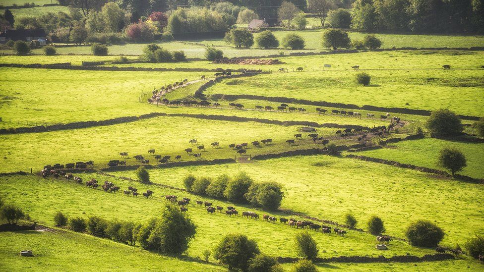 England's Big Picture: 23 - 29 May 2016 - BBC News