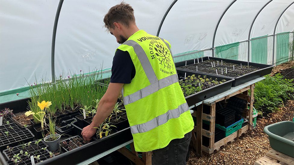 Northern Roots: Urban farm's first growing season tough, team says ...