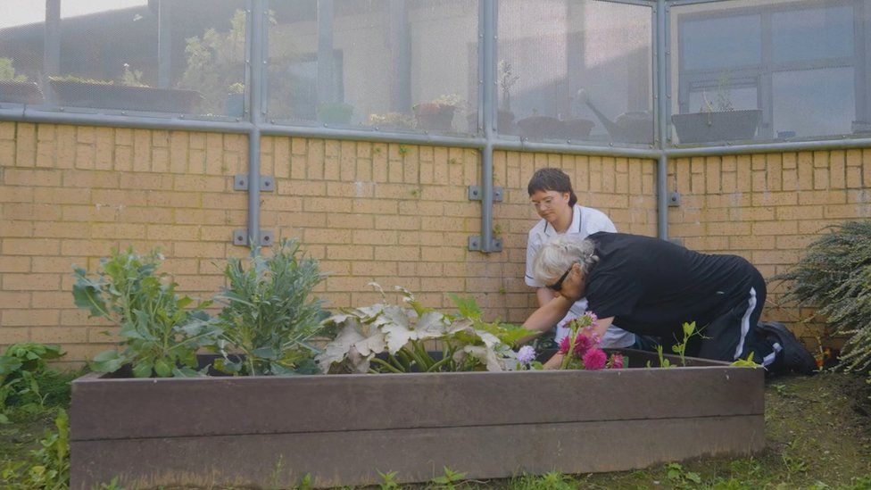 Airedale Hospital garden aims to boost patient mental health - BBC News
