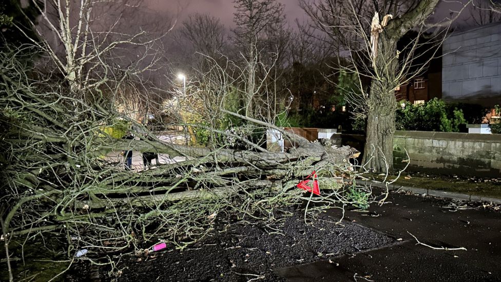 Wild weather in the UK and around the world - BBC Newsround