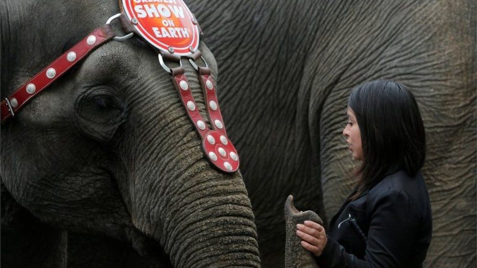 Elephants bow out at top US circus - BBC News