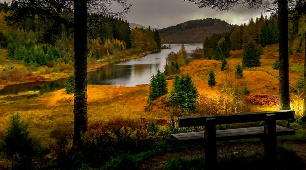 Your pictures of Scotland: 25 October - 1 November - BBC News