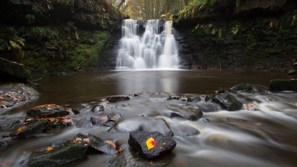 Cumbrian stone-age caves and ancient woodland for sale - BBC News