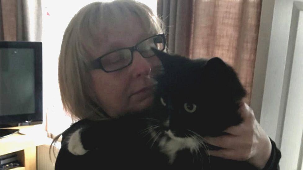 Missing Wirral cat rescued from half-way down chimney - BBC News