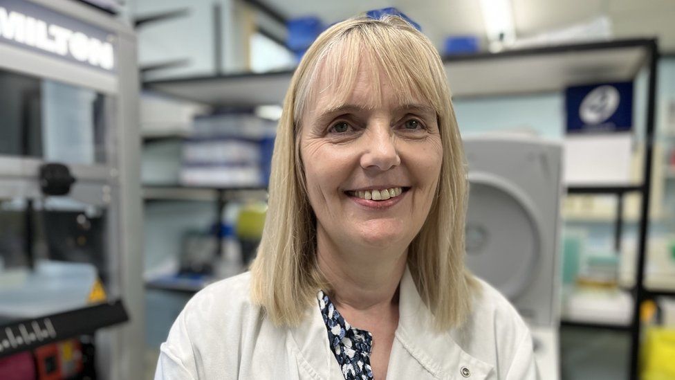 Sian Morgan's Instagram, Twitter & Facebook on IDCrawl