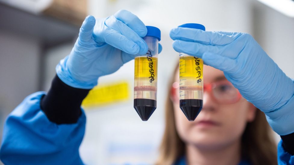 Covid-19: Oxford-AstraZeneca vaccine approved for use in UK - BBC News