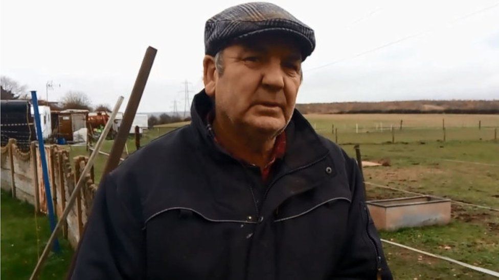 Horse dies after being 'fly-tipped' in Shirebrook - BBC News