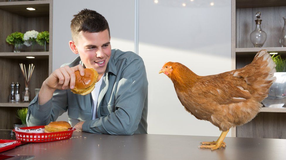 Vegan food company signs distribution deal - BBC News