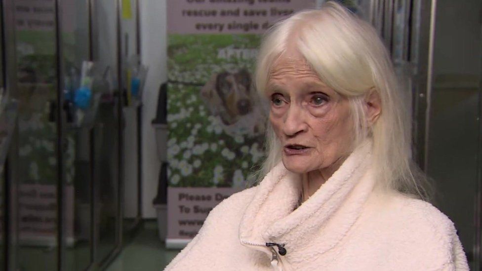 Canning Town cat charity overwhelmed by increase in abandoned pets - BBC News