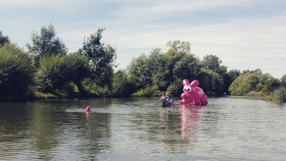 Swan pedalo completes 100-mile journey down the Thames - BBC News