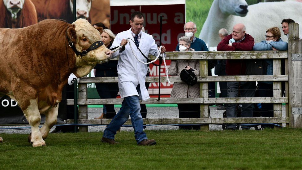 In pictures: The 2021 Balmoral Show - BBC News