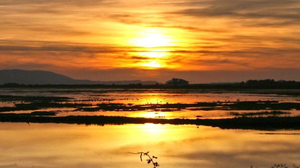 WWT Llanelli Wetland Centre celebrates 25 years - BBC News