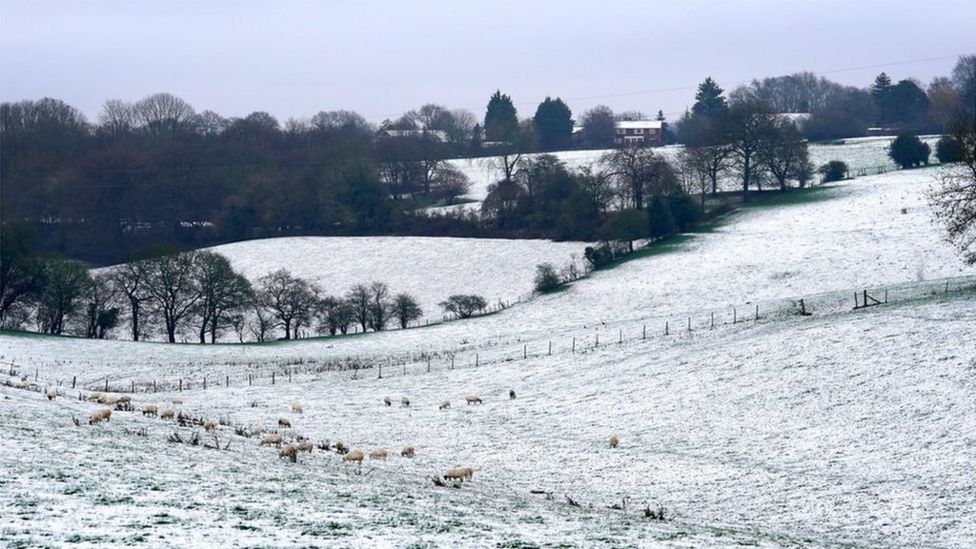 In pictures: Snow falls across the South East - BBC News