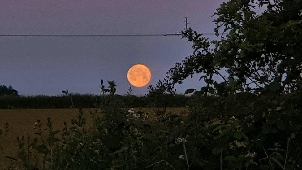 In pictures: Strawberry Moon lights up West Midland skies - BBC News