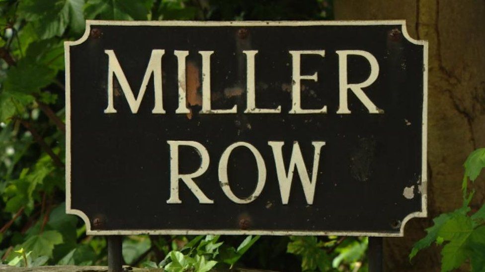 Camper killed after tree falls on tent in Edinburgh - BBC News