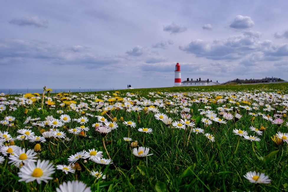 England's Big Picture: 23 May - 29 May 2022 - BBC News