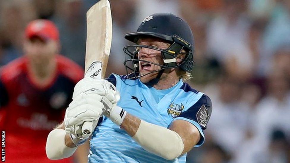 David Willey: All-rounder to captain Yorkshire in T20 Blast - BBC Sport