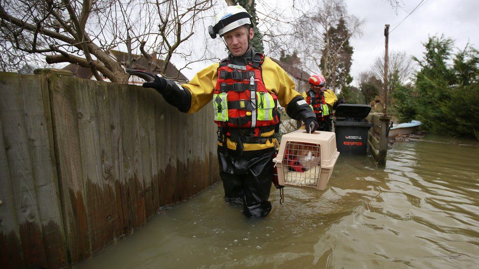 Floods How Do You Keep Pets Safe Bbc Newsround