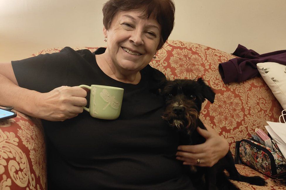 'Lovely experience' as pharmacist reunites dog with owner - BBC News